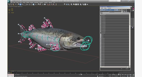 3d model atlantic salmon fish rigged