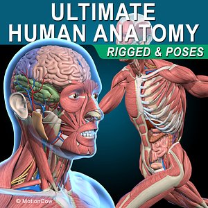 Download Free & Premium Humanity Project Logo 3D Models | TurboSquid