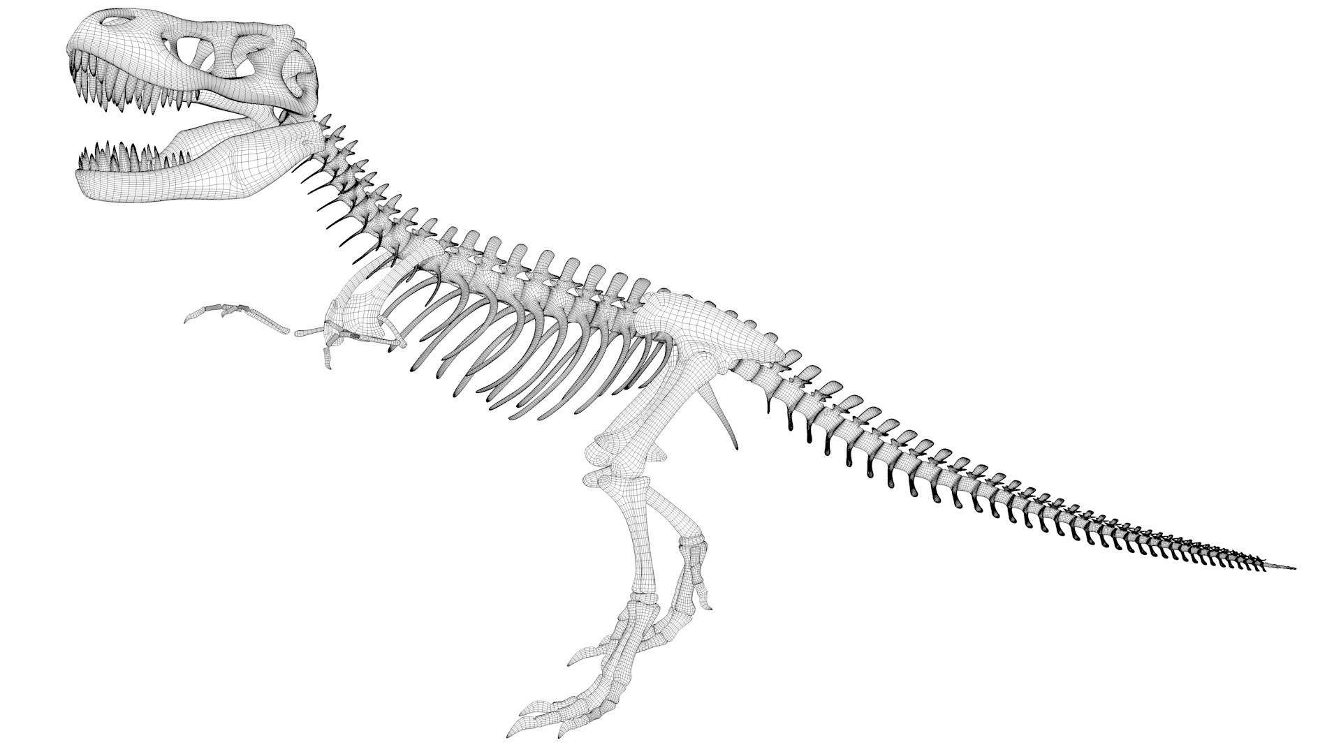 T-rex Skeleton 3D Model - TurboSquid 1432743
