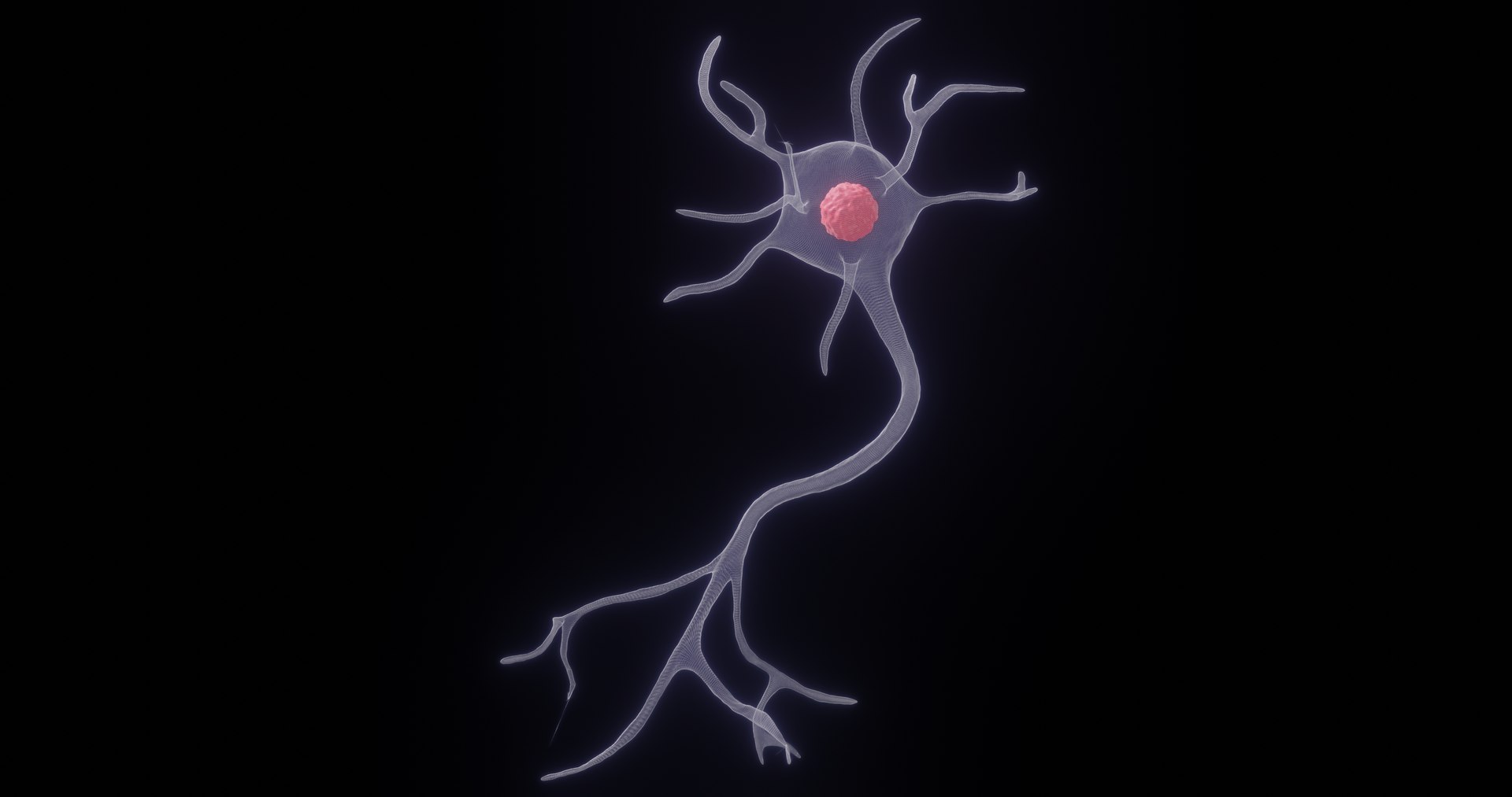 3D Multipolar Neuron Model - TurboSquid 2028654
