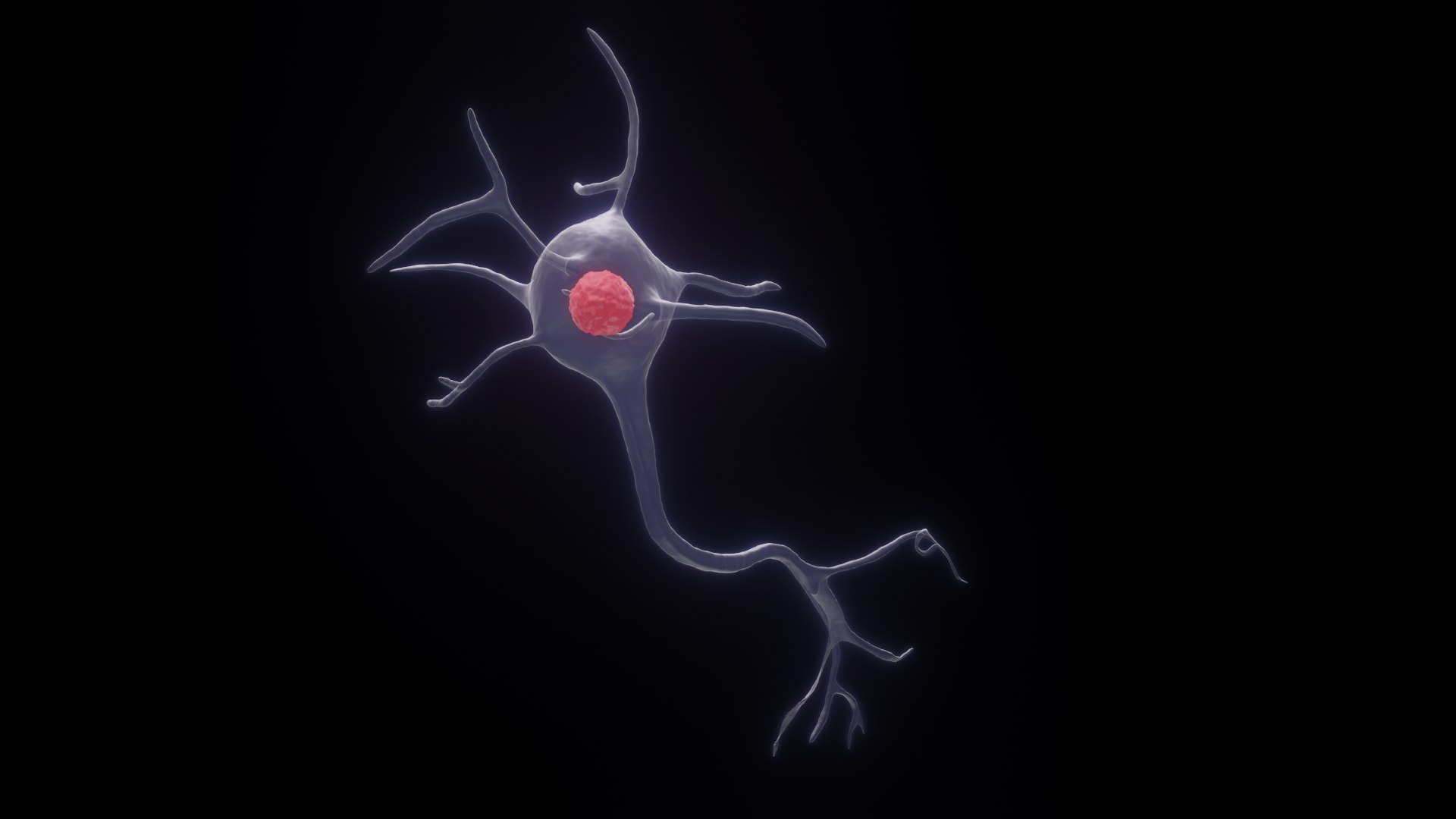 3D Multipolar Neuron Model - TurboSquid 2028654