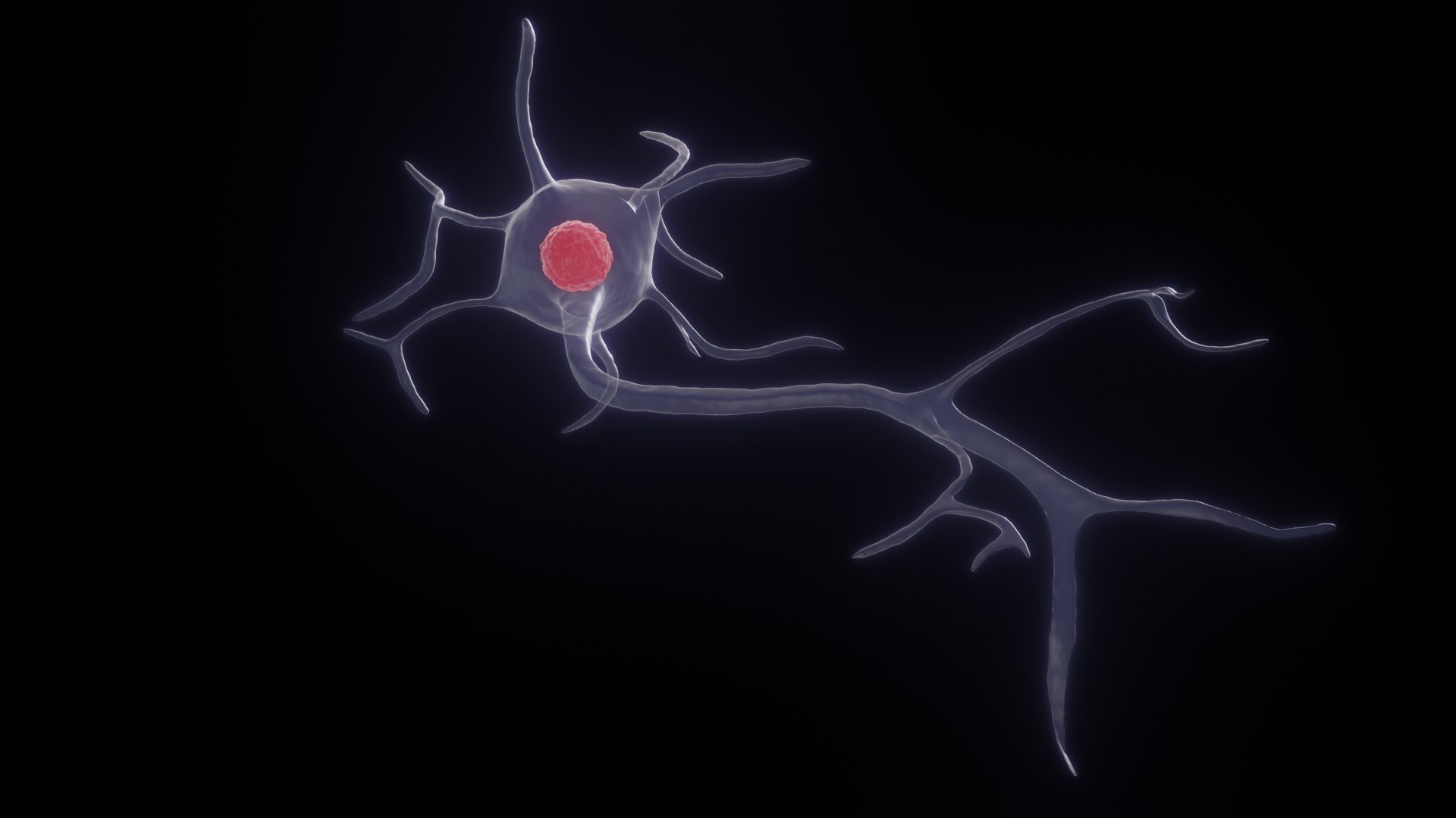 3D Multipolar Neuron Model - TurboSquid 2028654