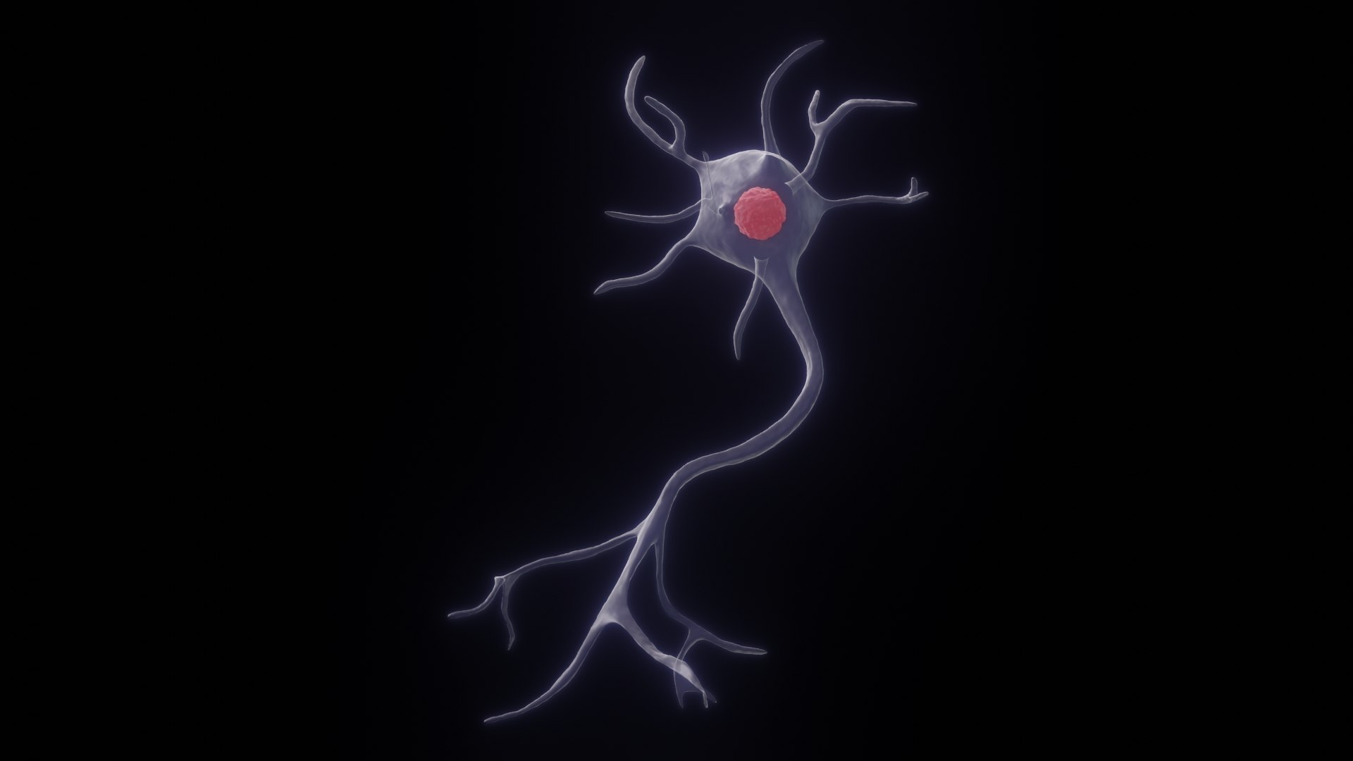 Multipolar Neuron Model 3D - TurboSquid 2028654