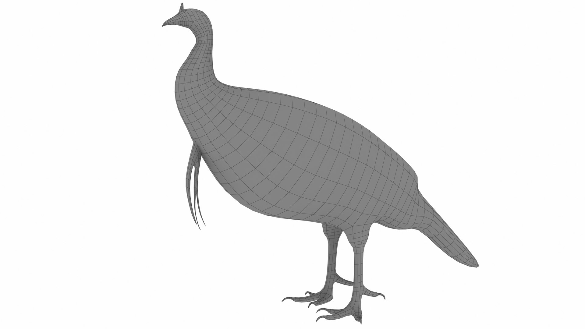 3D Turkey Model - TurboSquid 2330568