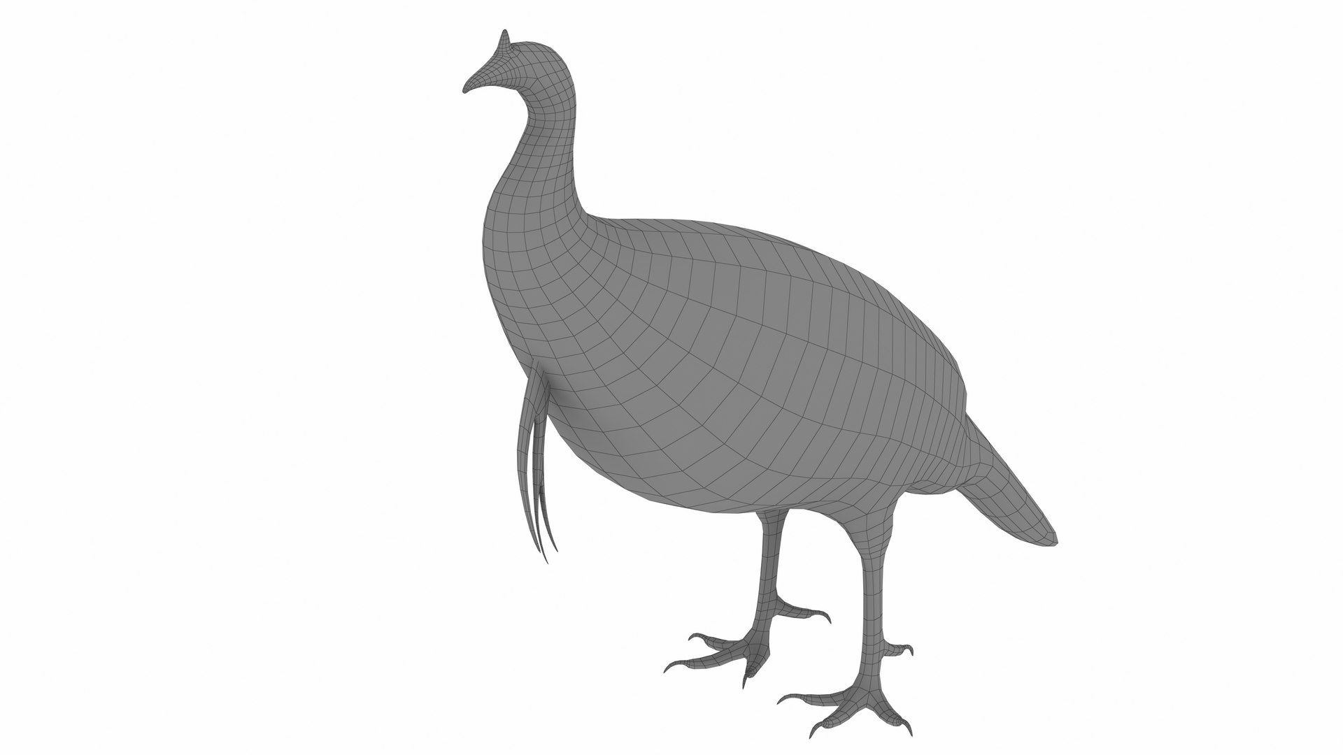 3D Turkey Model - TurboSquid 2330568