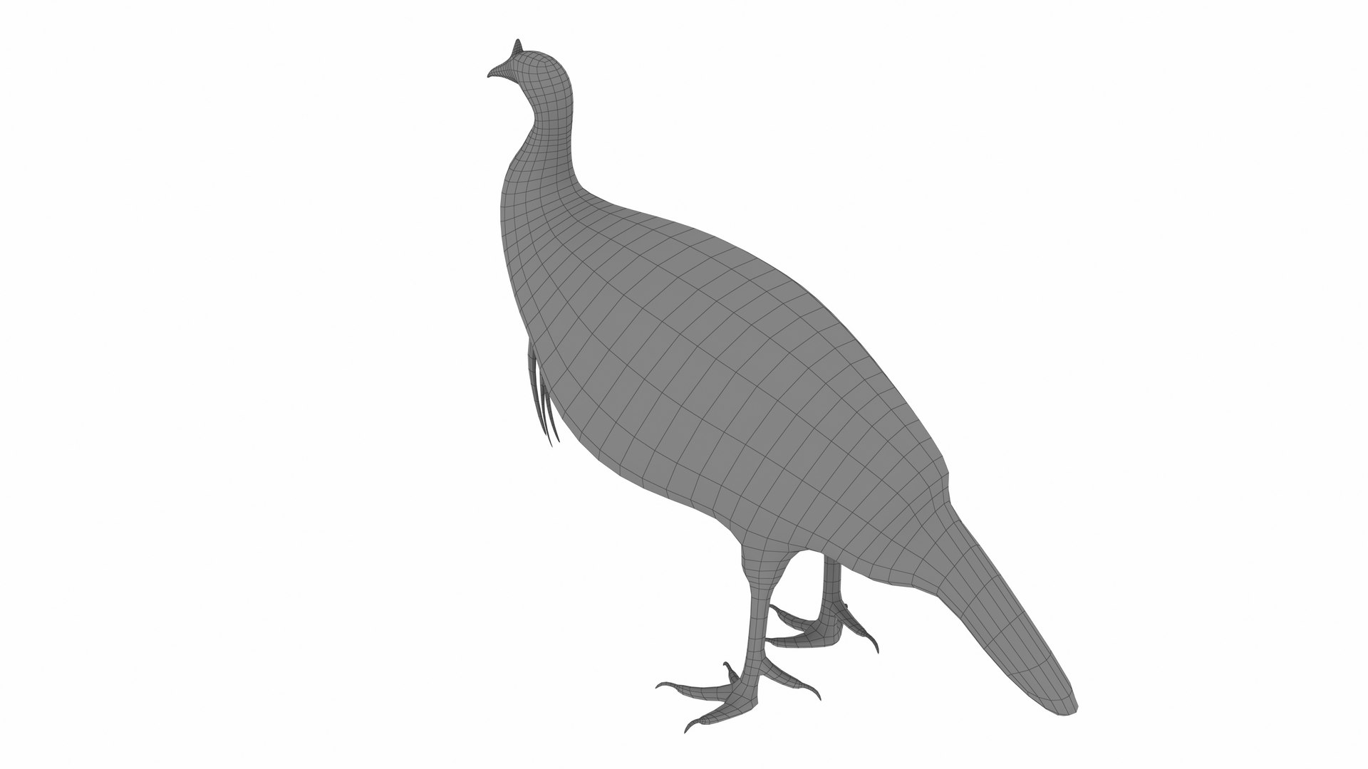 3D Turkey Model - TurboSquid 2330568