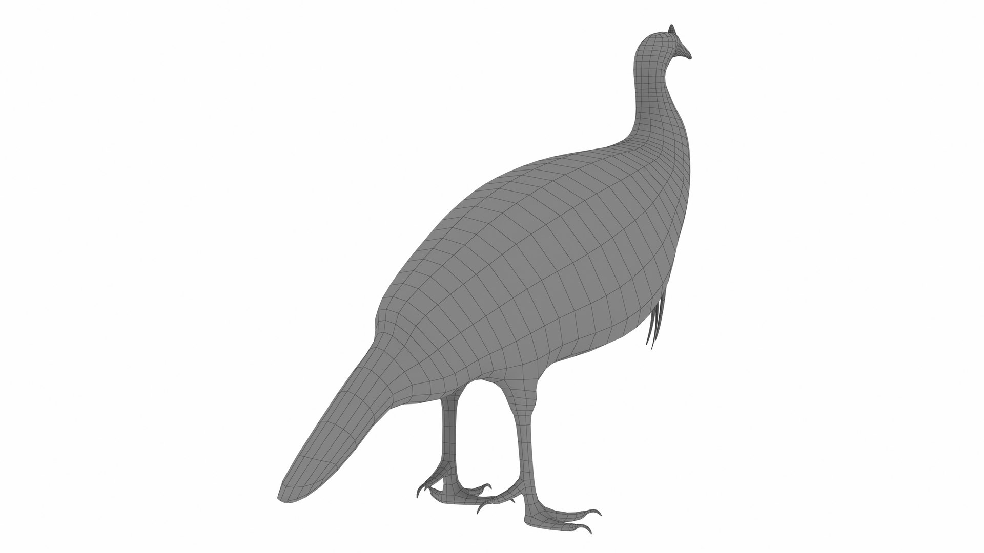3D Turkey Model - TurboSquid 2330568