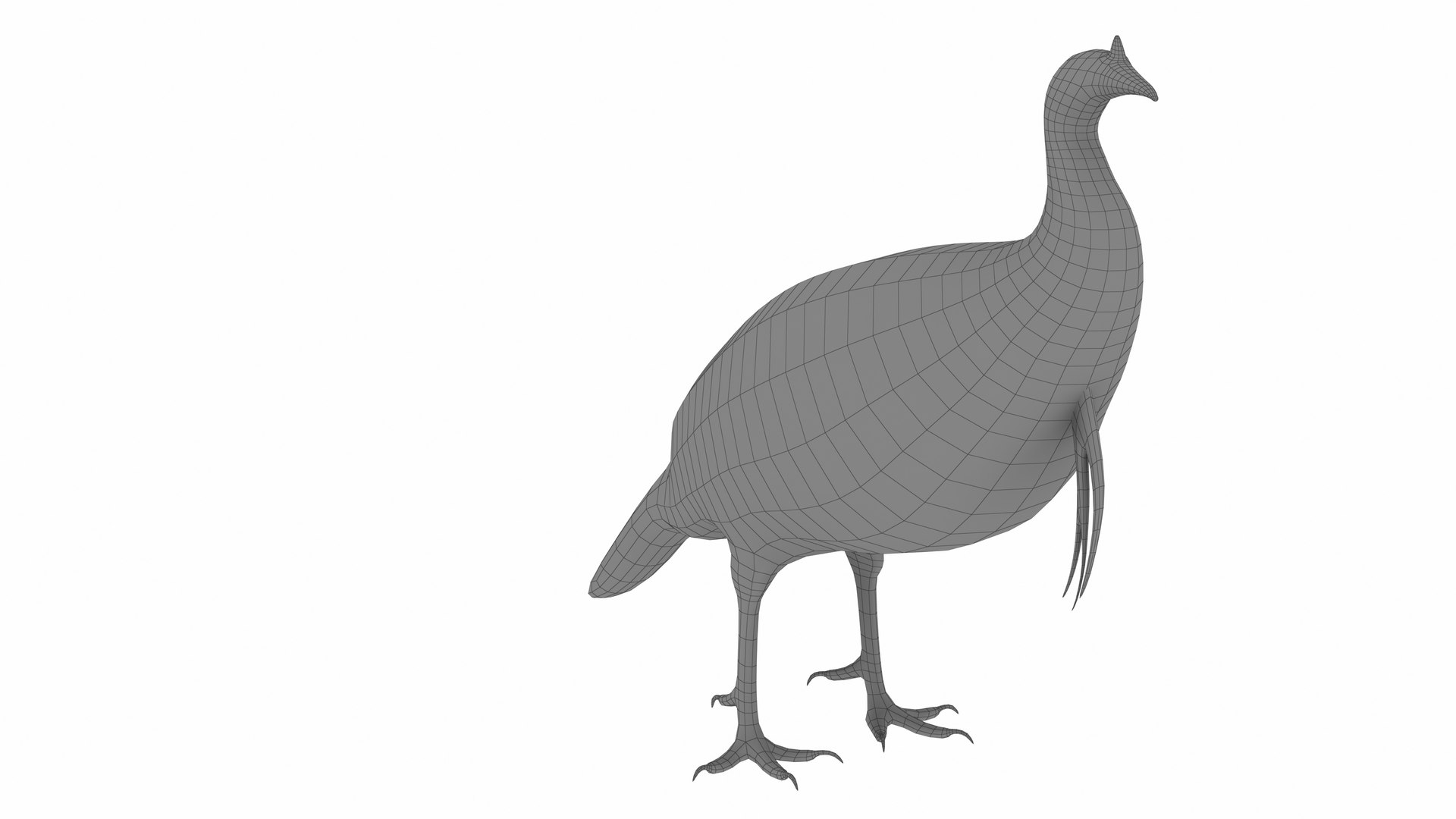 3D Turkey Model - TurboSquid 2330568