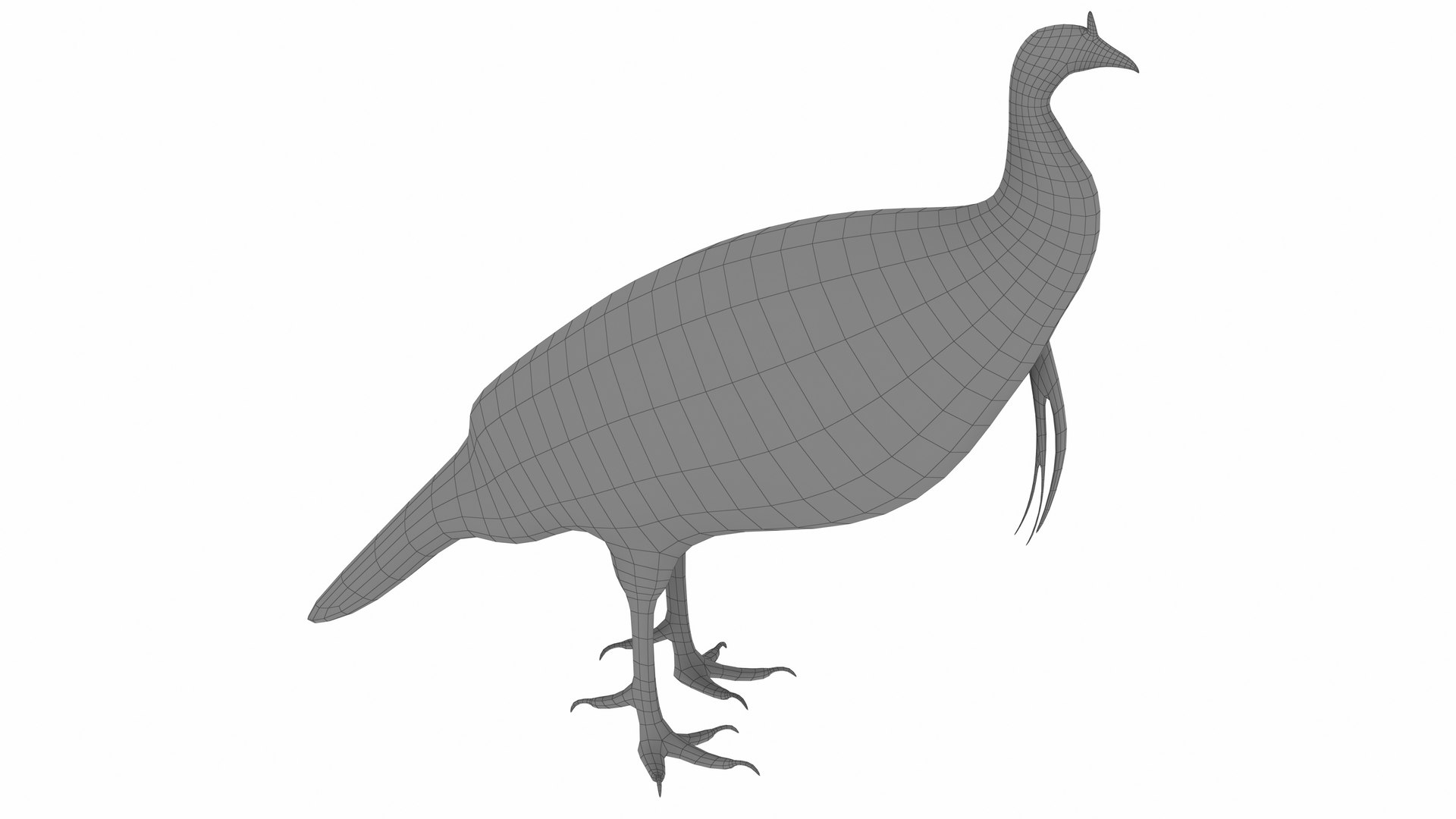 3D Turkey Model - TurboSquid 2330568