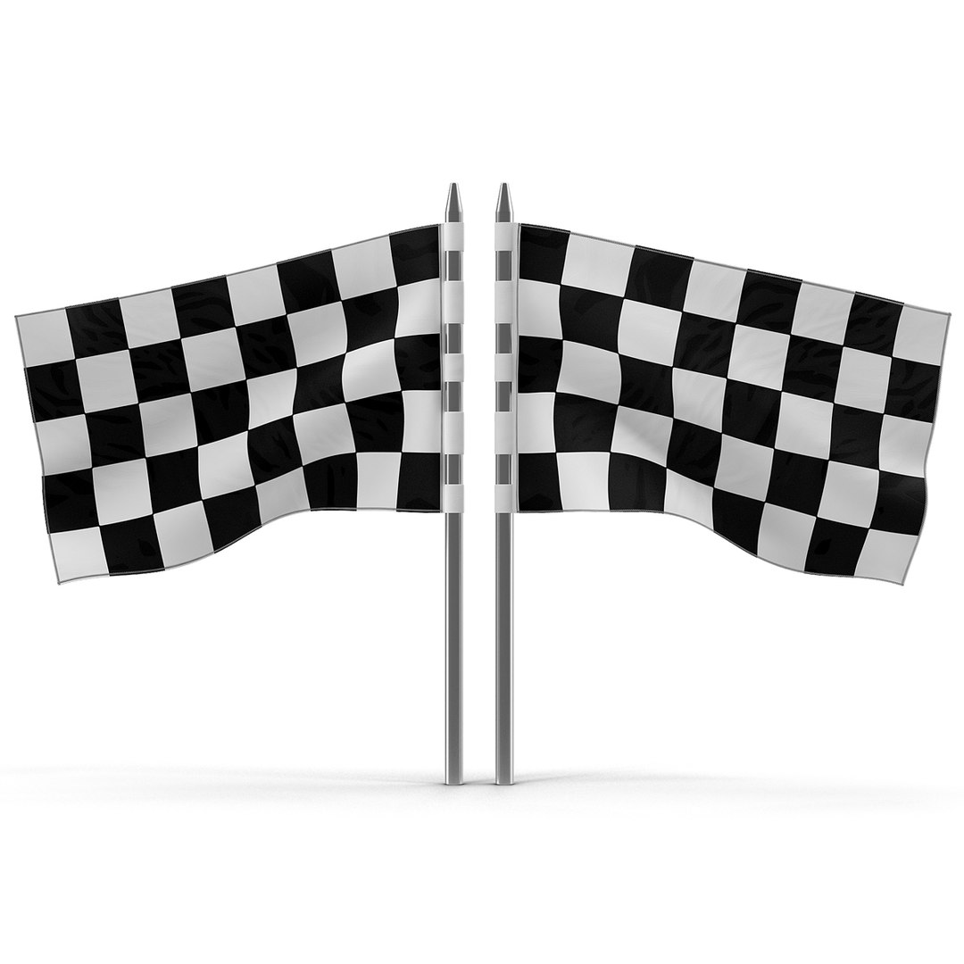 Racing Flag 5 3d 3ds