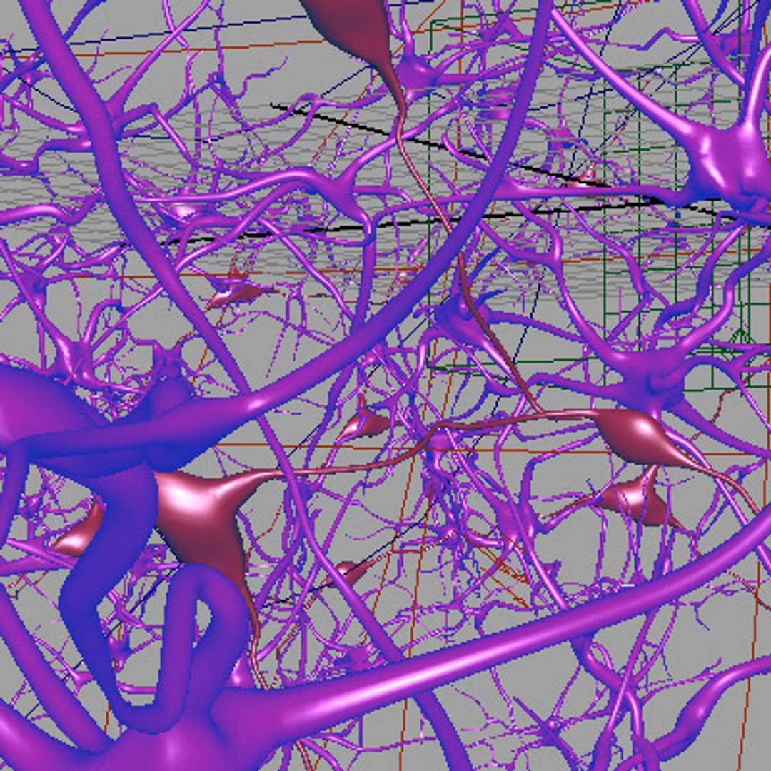 Neurons Animation 3d Model