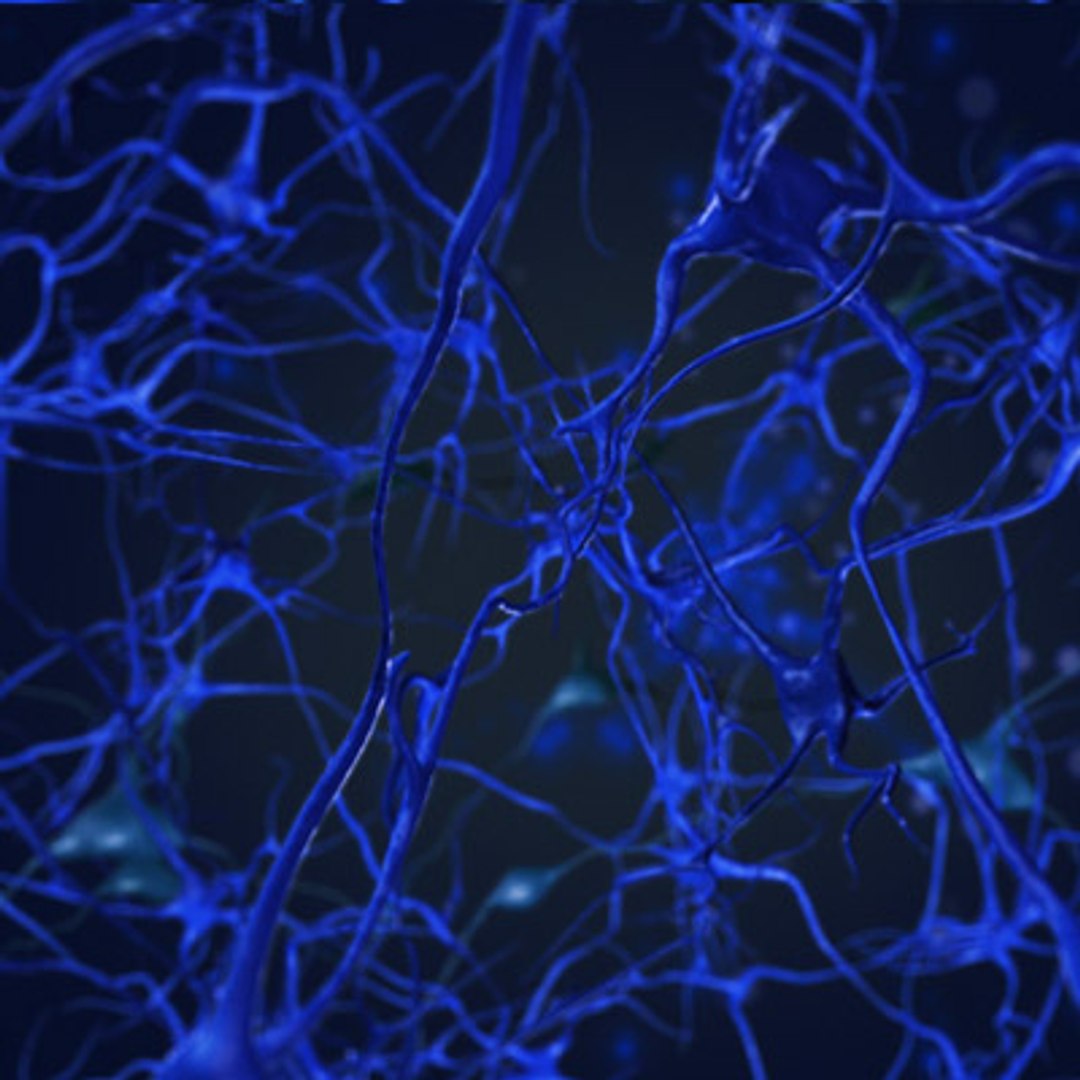 Neurons Animation 3d Model