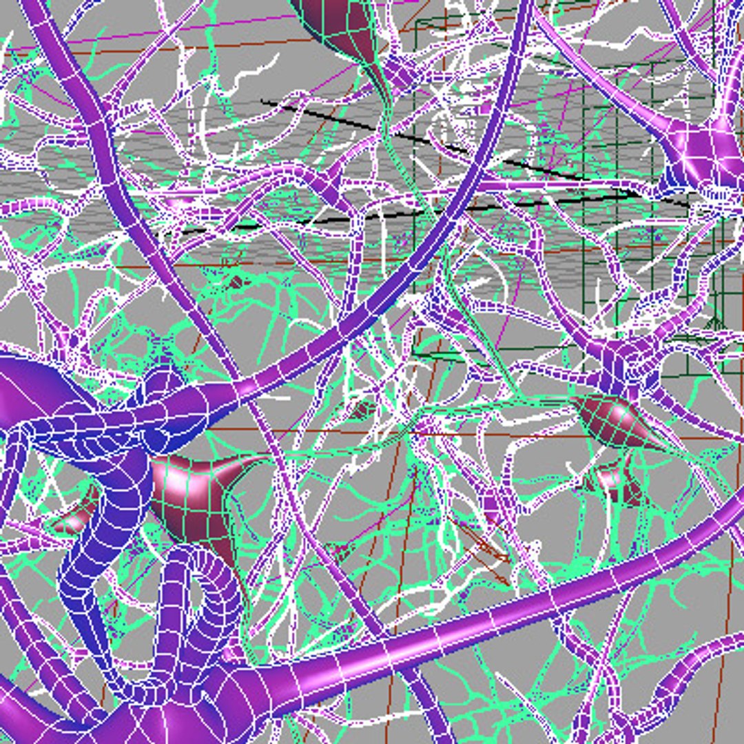 Neurons Animation 3d Model