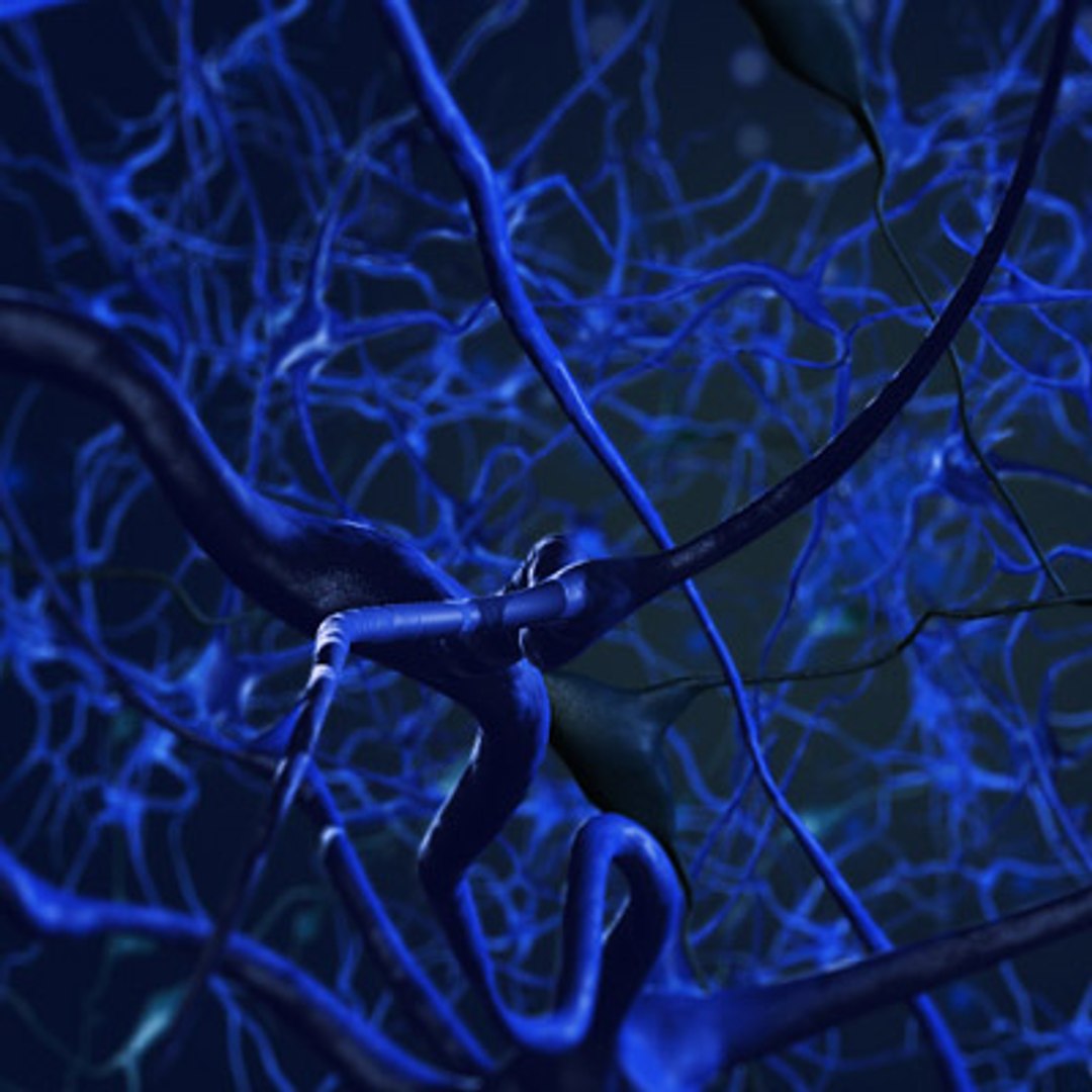 Neurons Animation 3d Model