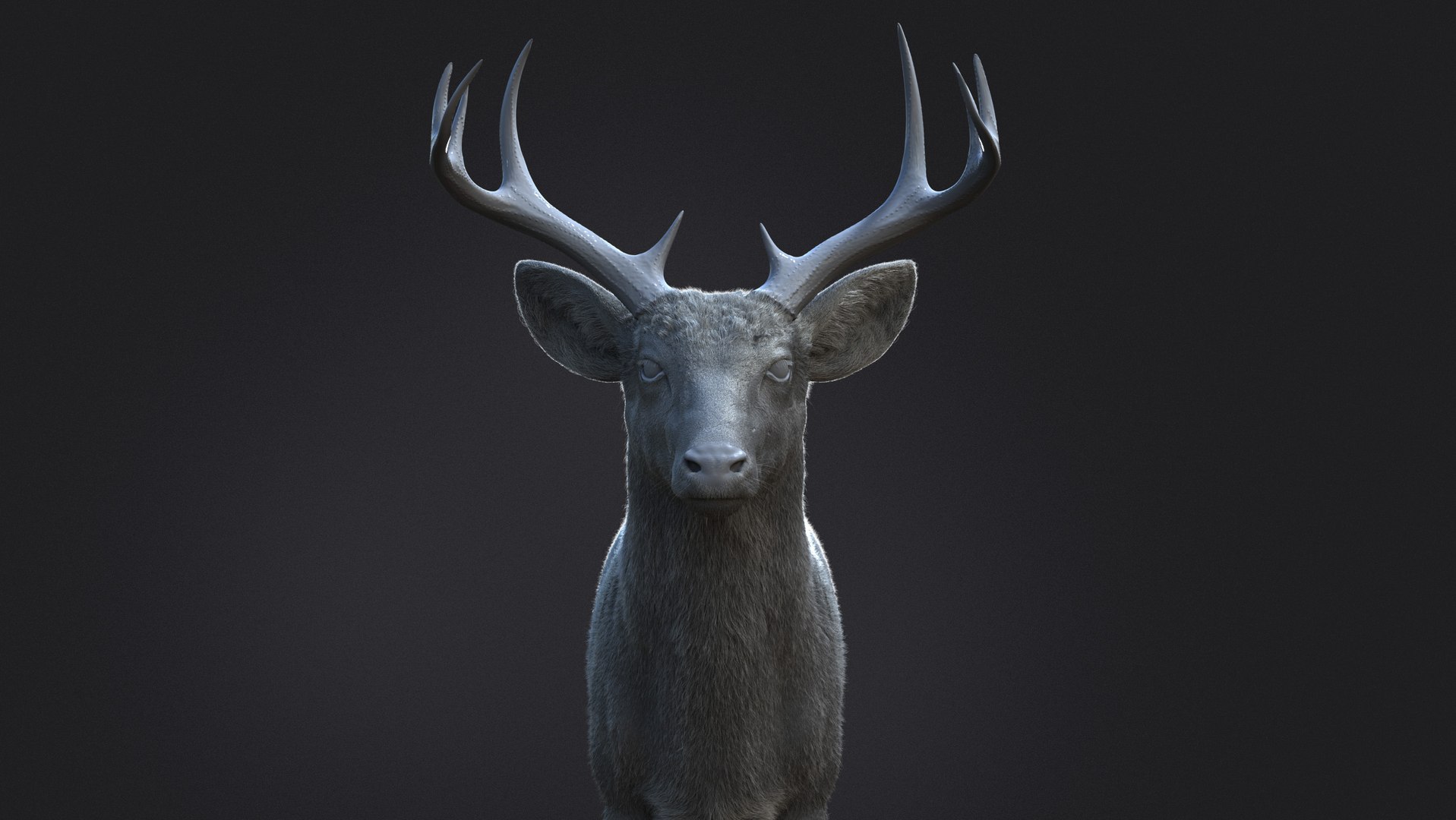 Deer 2025 Static Version XGEN-CORE 3D - TurboSquid 2353075