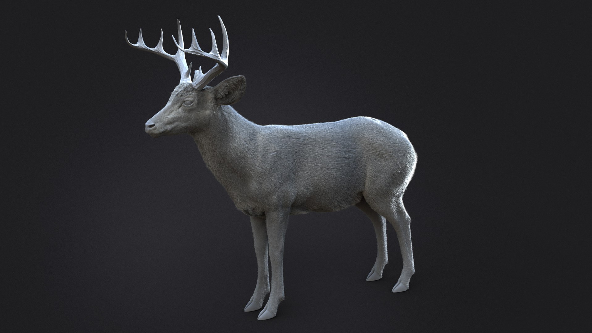 Deer 2025 Static Version XGEN-CORE 3D - TurboSquid 2353075
