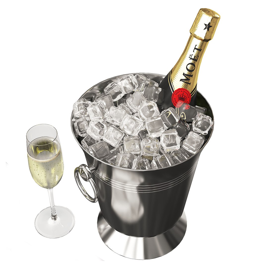 Champagne Moet Bucket 3D Model - TurboSquid 1550782