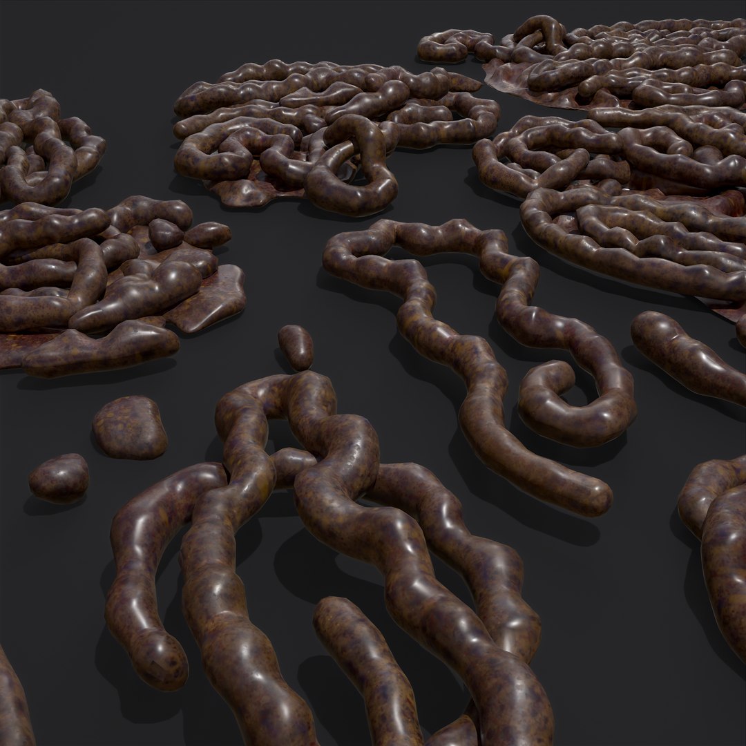 Intestines 3D Model - TurboSquid 1872698