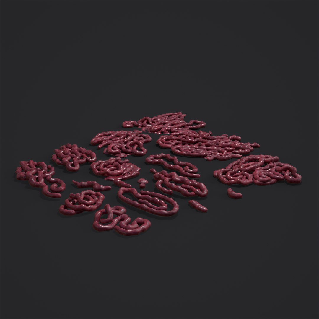 Intestines 3D Model - TurboSquid 1872698