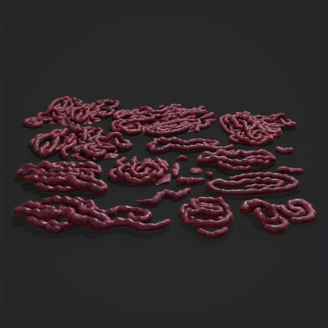 Intestines 3D Model - TurboSquid 1872698