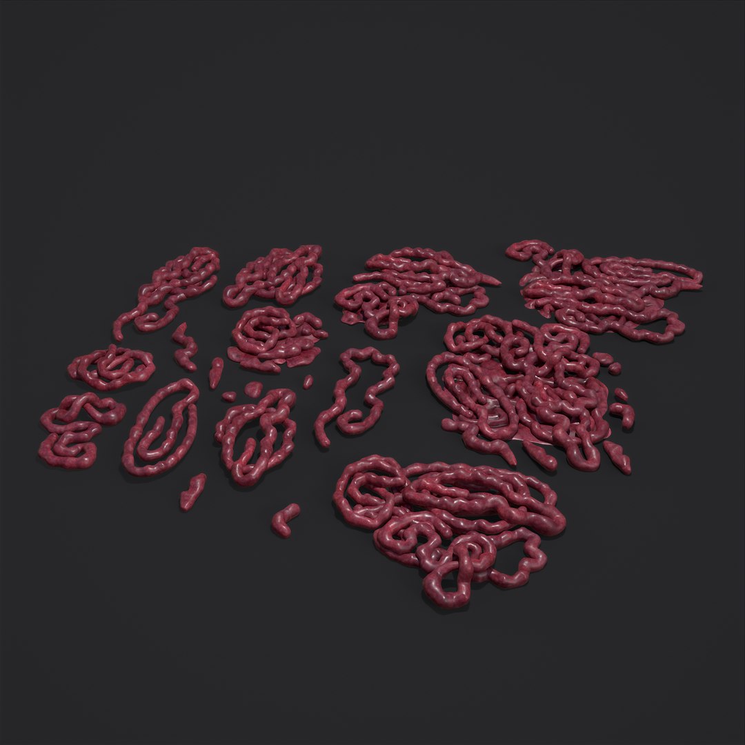 Intestines 3D Model - TurboSquid 1872698