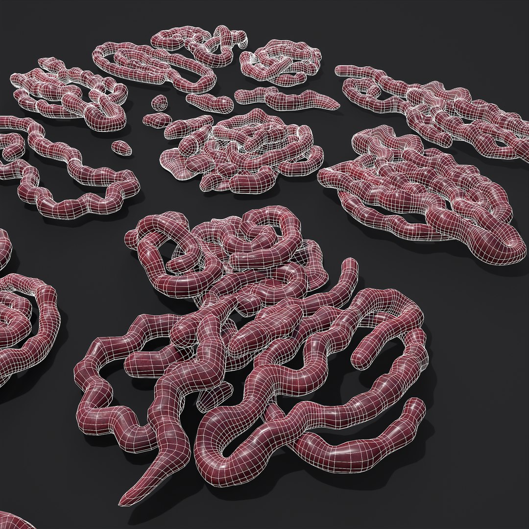 Intestines 3D Model - TurboSquid 1872698