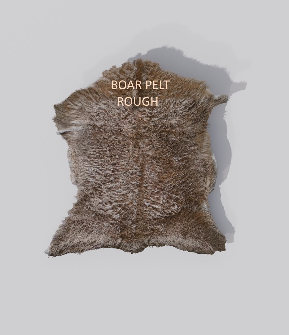 Animal Pelts 3D Model - TurboSquid 2067696