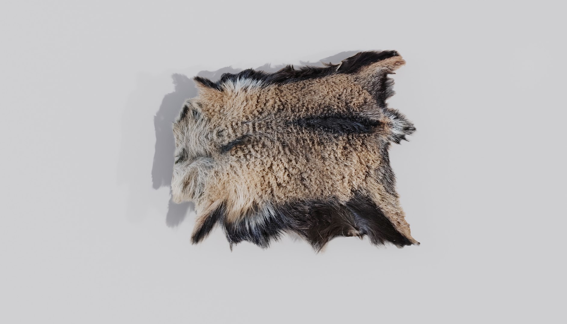 Animal Pelts 3D Model - TurboSquid 2067696