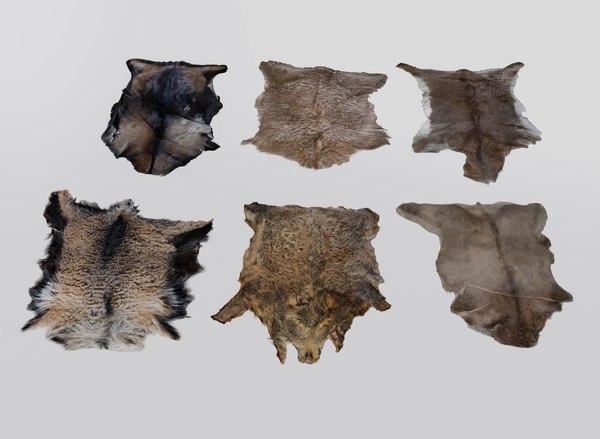 modelo 3d Animal Pelts - TurboSquid 2067696