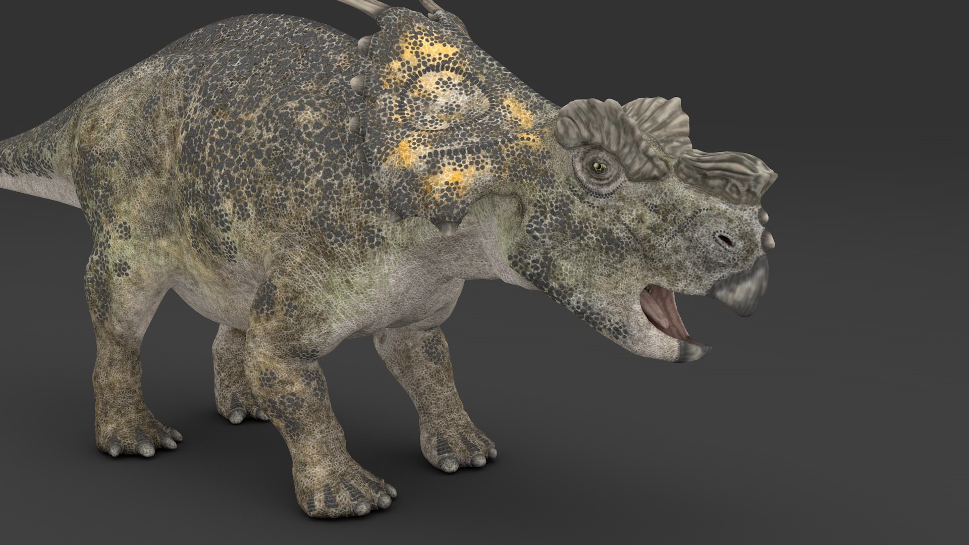 Achelousaurus Dinosaur 3D Model - TurboSquid 2340841