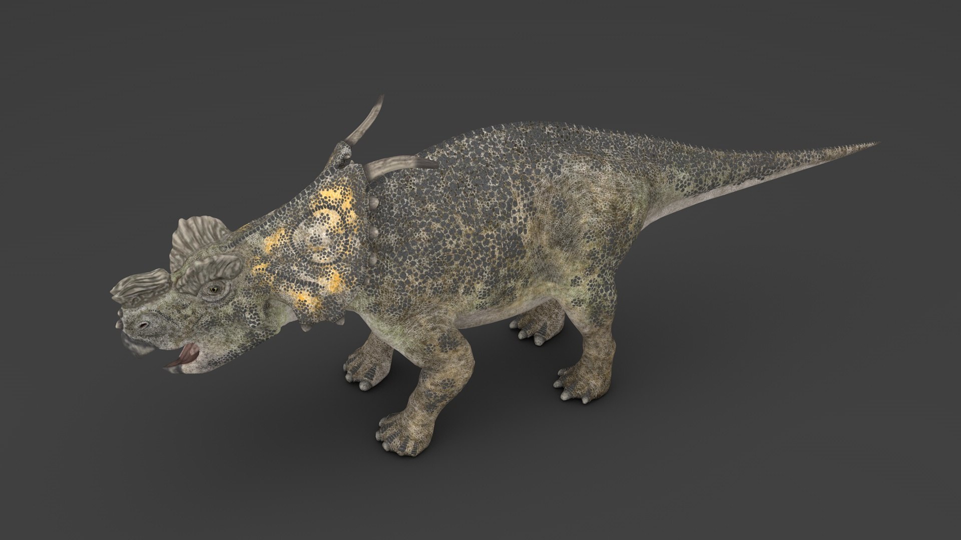 Achelousaurus Dinosaur 3D Model - TurboSquid 2340841