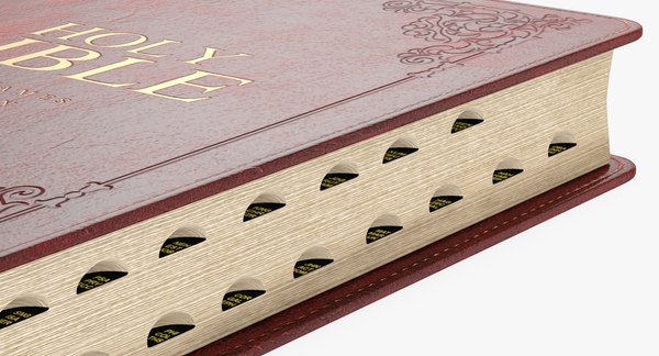 3D holy bible closed book model - TurboSquid 1398410
