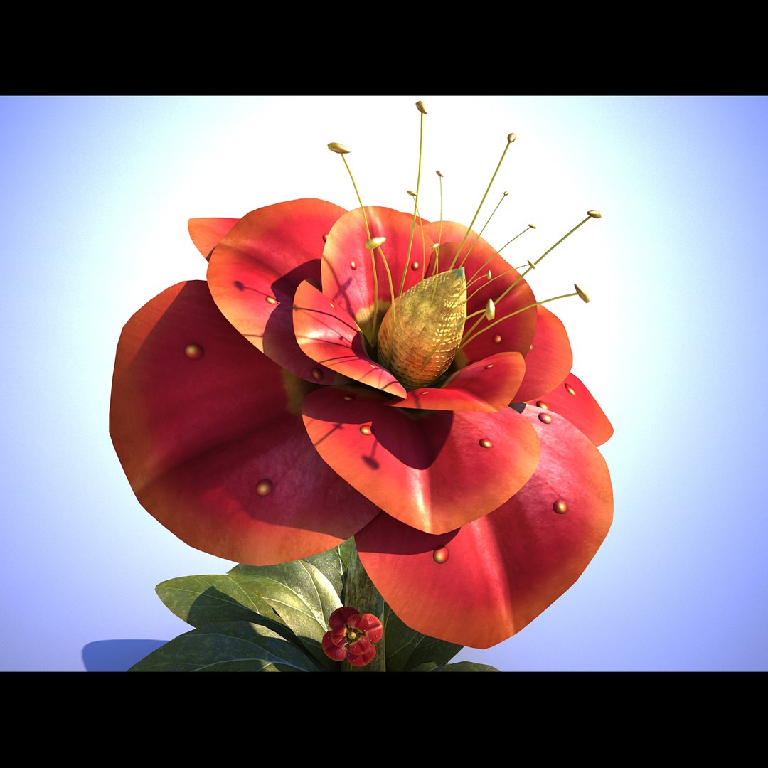 3d Red Flower