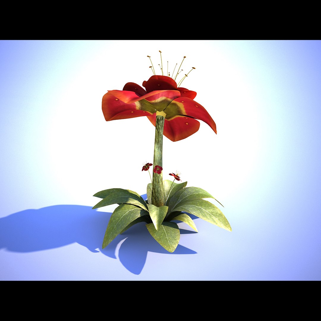 3d Red Flower