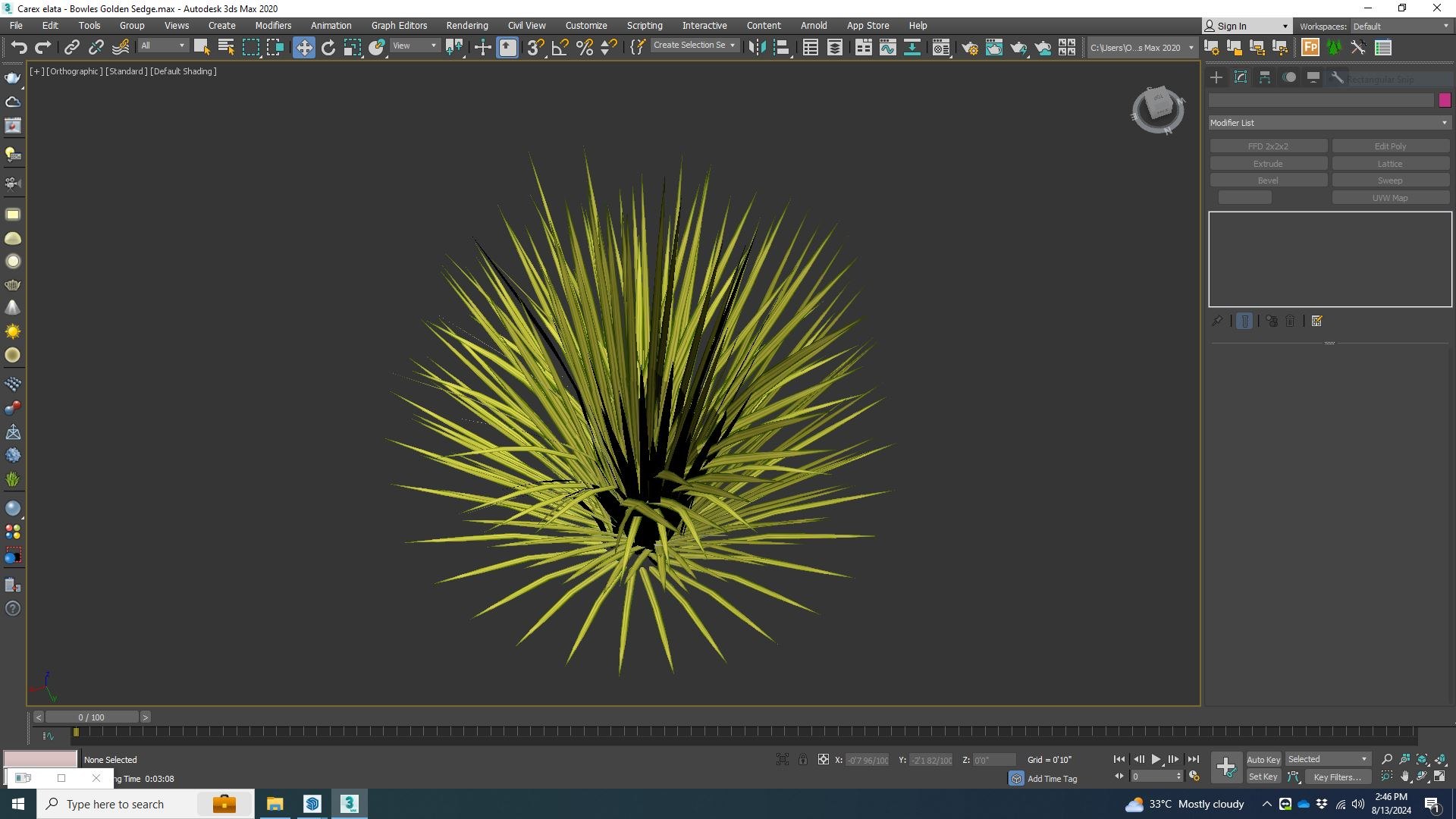 3D Model Carex Elata - Bowles Golden Sedge - TurboSquid 2281482