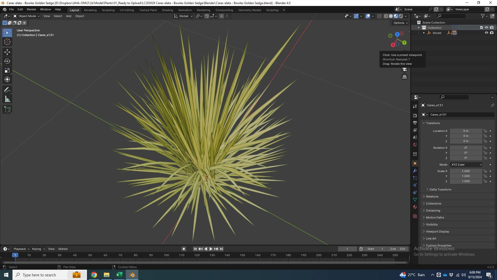 3D Model Carex Elata - Bowles Golden Sedge - TurboSquid 2281482