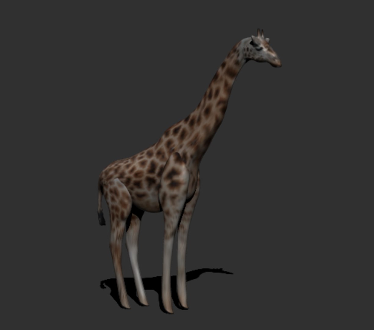 Giraffe Model - TurboSquid 1584074