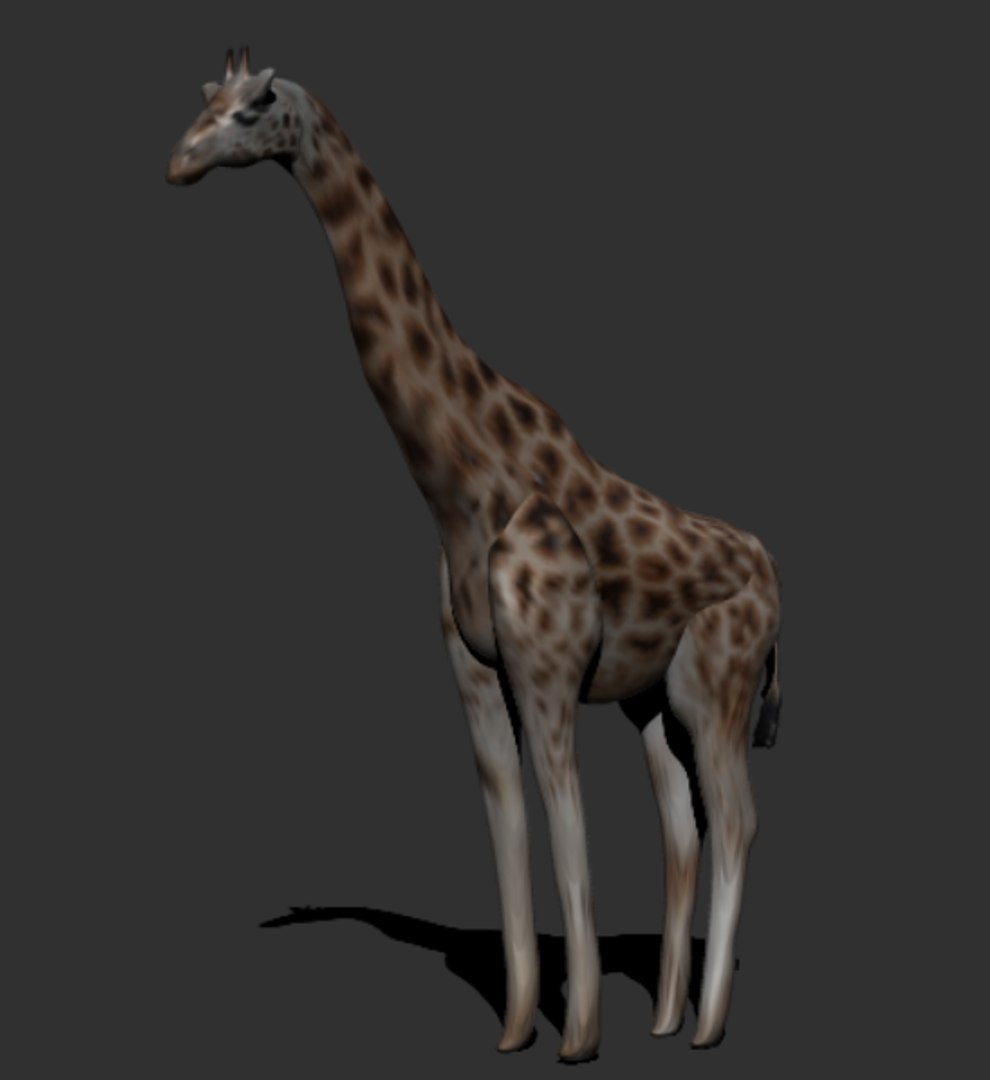Giraffe Model - TurboSquid 1584074