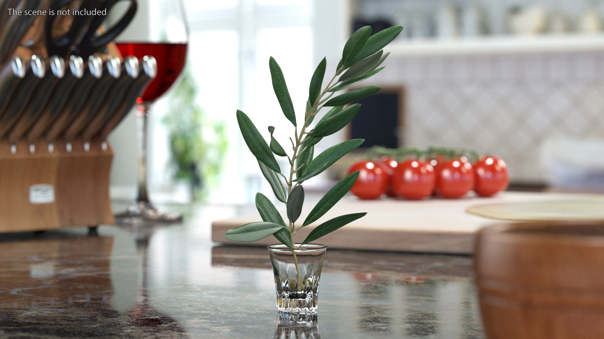 Olive Tree Branch No Olives 3D - TurboSquid 1947581