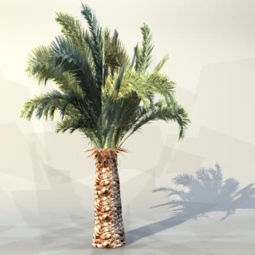 3d Pc Palm Model