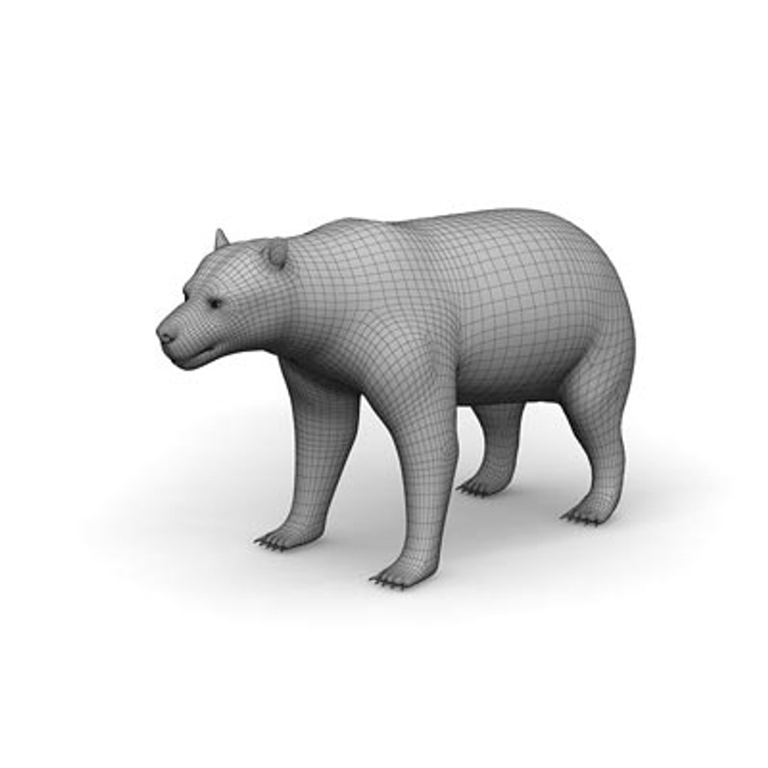 Amphicyonidae Bear 3d Model
