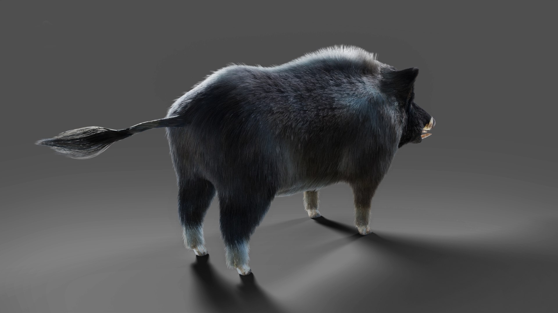 3D Model Fur Wild Boar V07 NO Rigged In Blender - TurboSquid 1992121