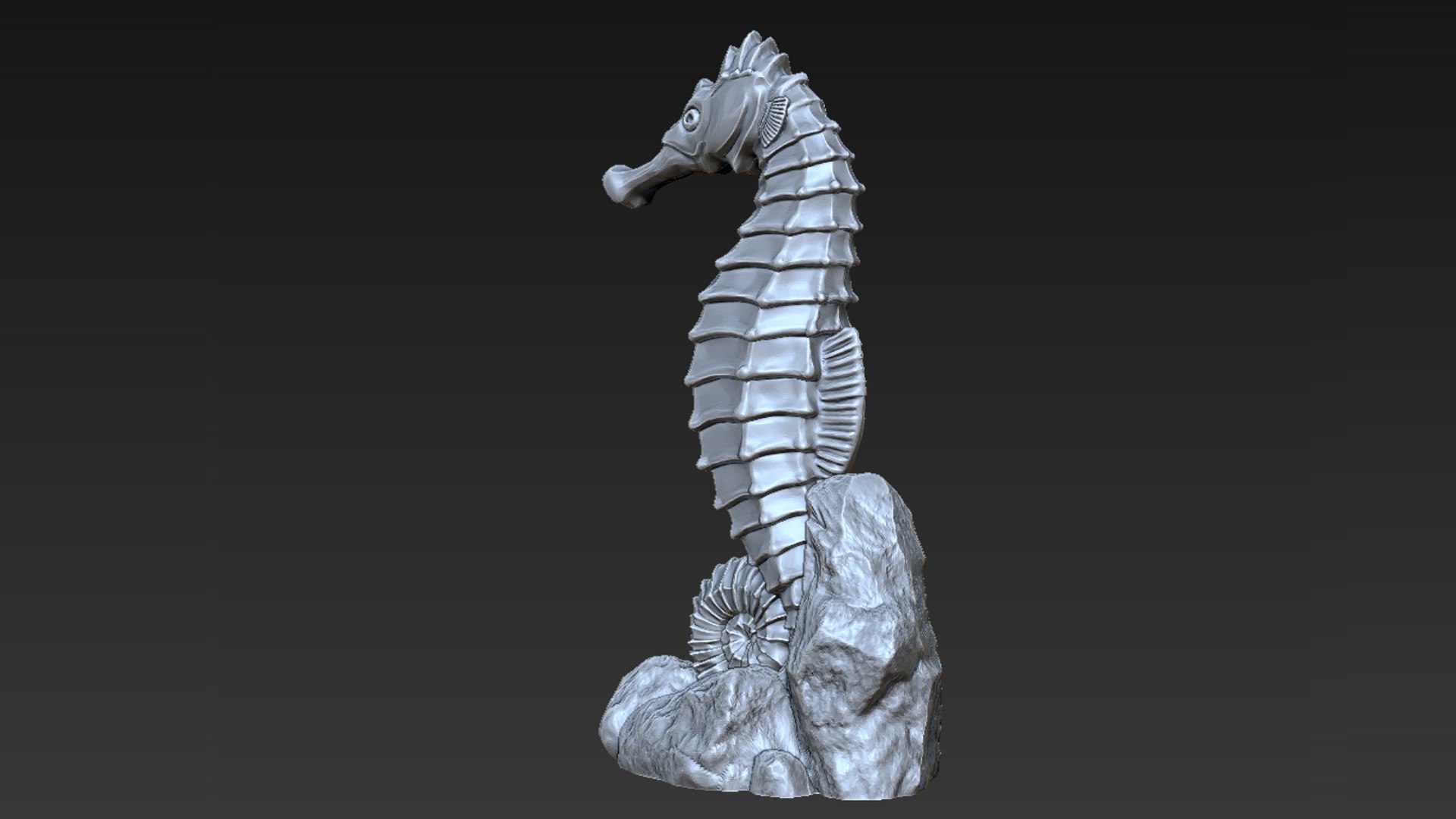 SeaHorse 3D Model - TurboSquid 2213226
