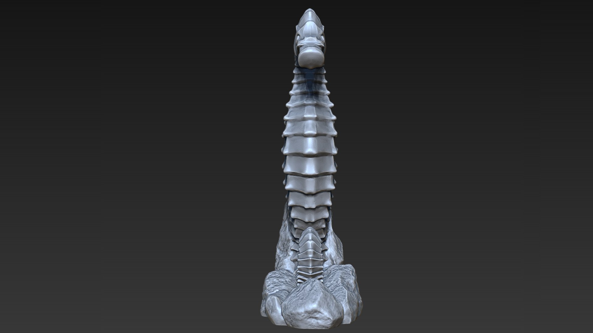 SeaHorse 3D Model - TurboSquid 2213226