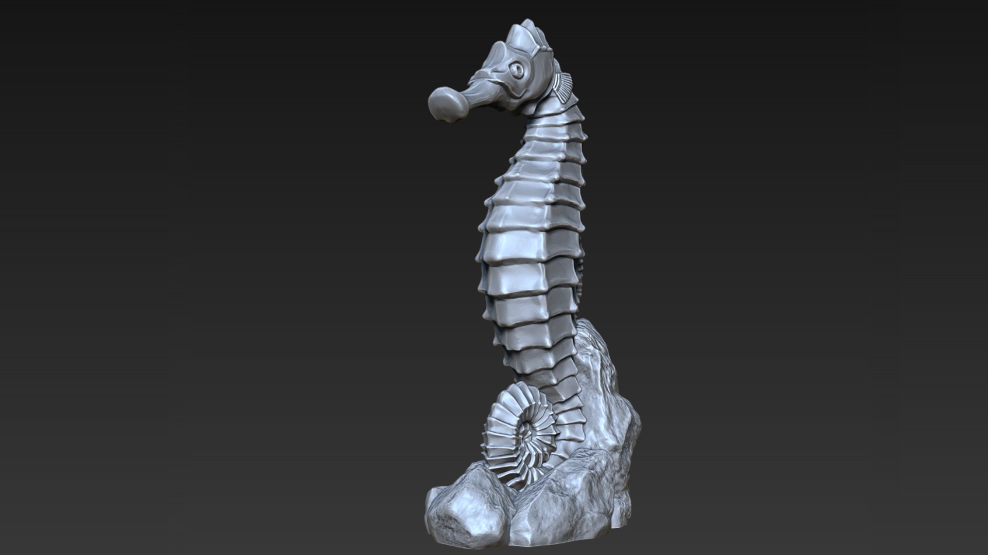 SeaHorse 3D Model - TurboSquid 2213226