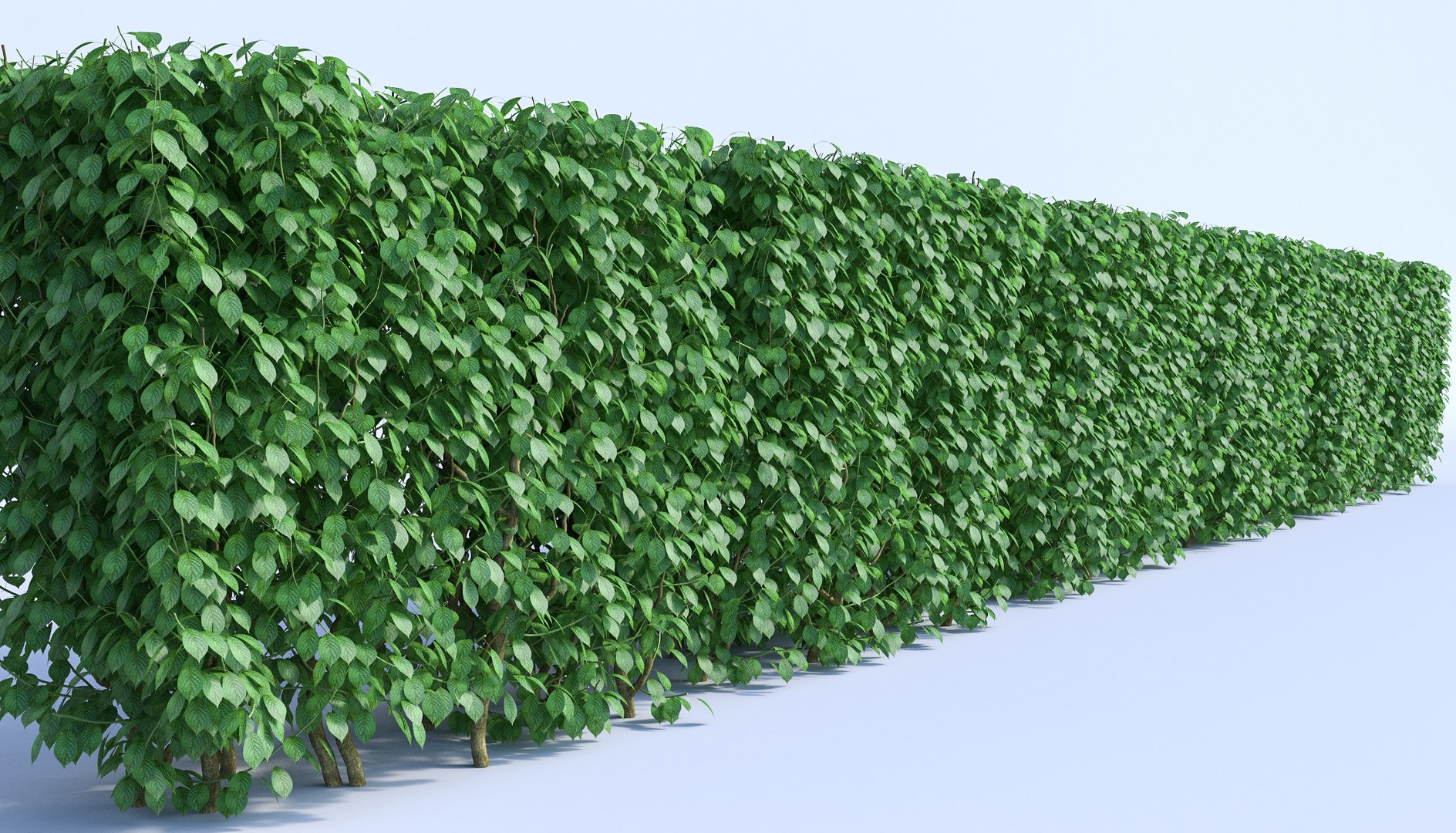 Set Bushes 2 3d Max