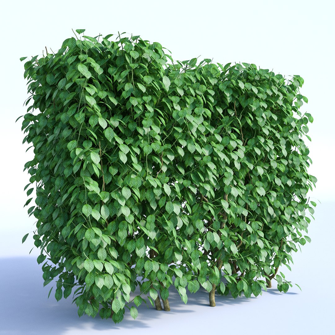 Set Bushes 2 3d Max