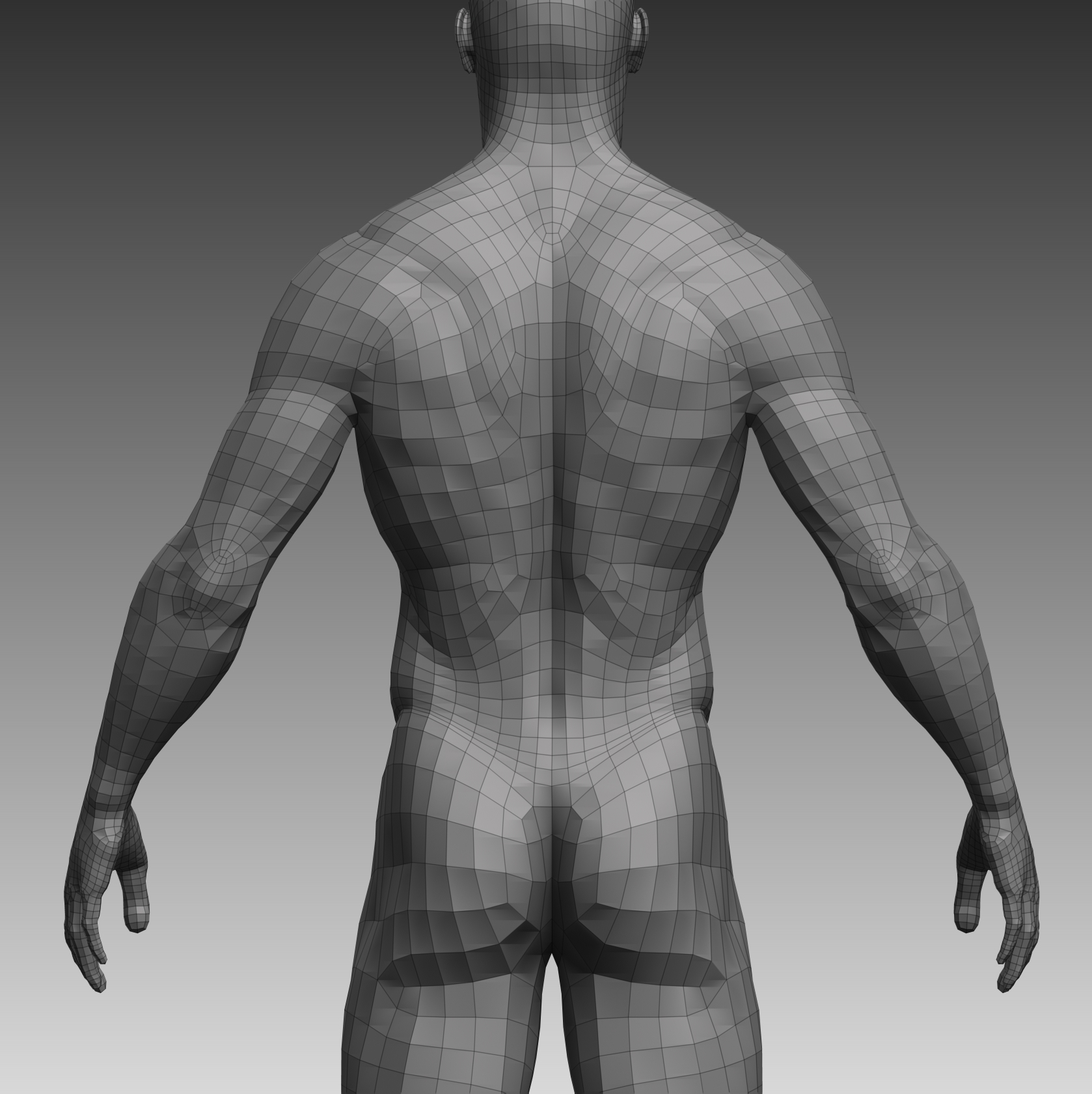 modelo 3d Cuerpo anatómico, malla base - TurboSquid 1697703