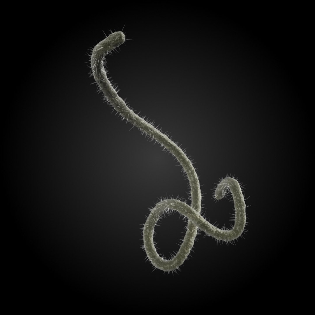 3ds Max Microbes Micro Organisms