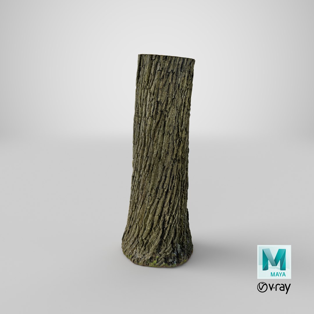 Tree trunk 01 3D model - TurboSquid 1482553
